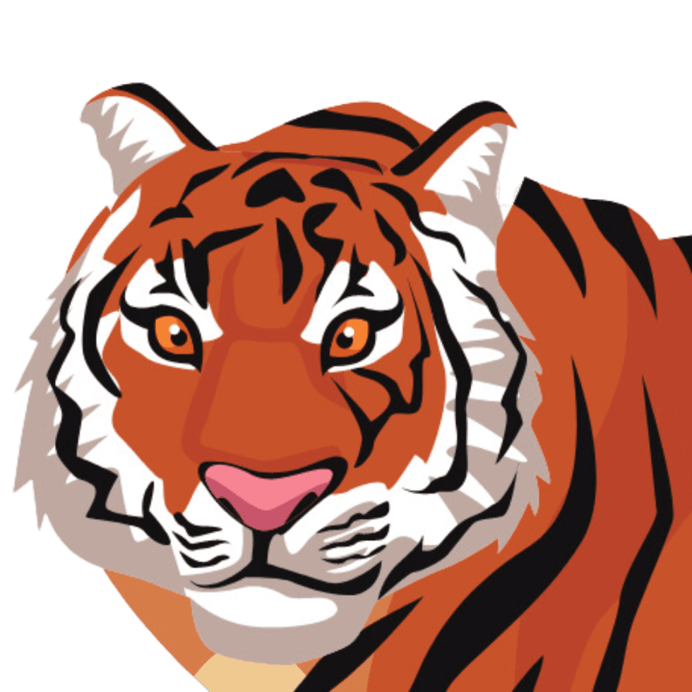 Home - Tiger Eye Solution